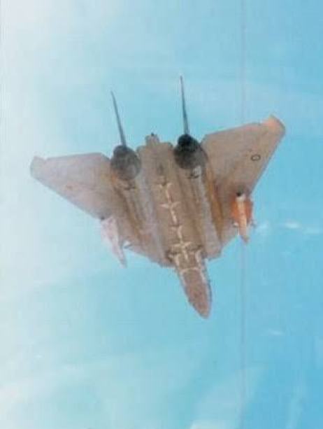 PersaCats: o longo caminho para reaver as garras – Cavok Brasil