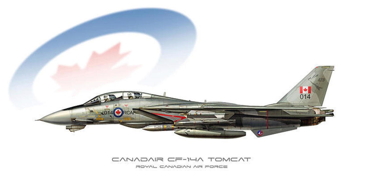 CF-14: quando o Tomcat quase serviu à Real Força Aérea Canadense ...