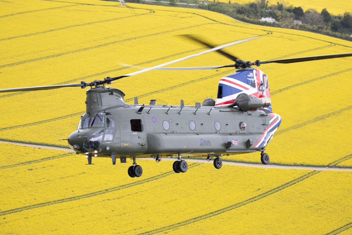 IMAGENS: RAF celebra 40 anos do Chinook com especial esquema de cores ...