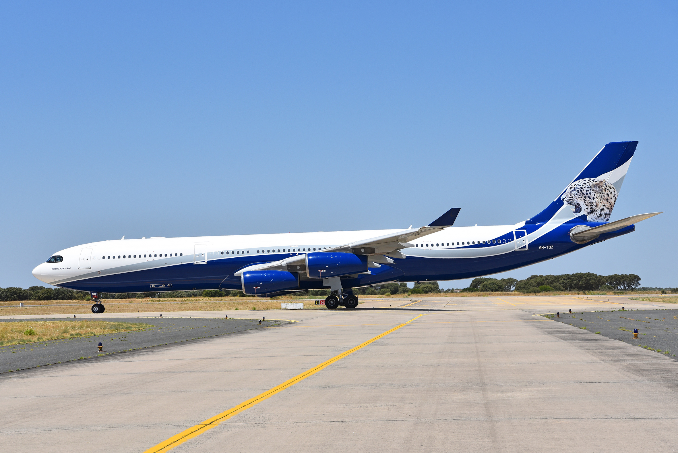 IMAGENS: Especial A340 com pintura de leopardo persa foi demonstrado ...