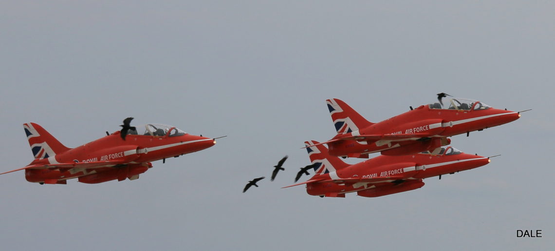 IMAGENS: Jato Hawk dos Red Arrows colide com pássaros e danifica canopy ...