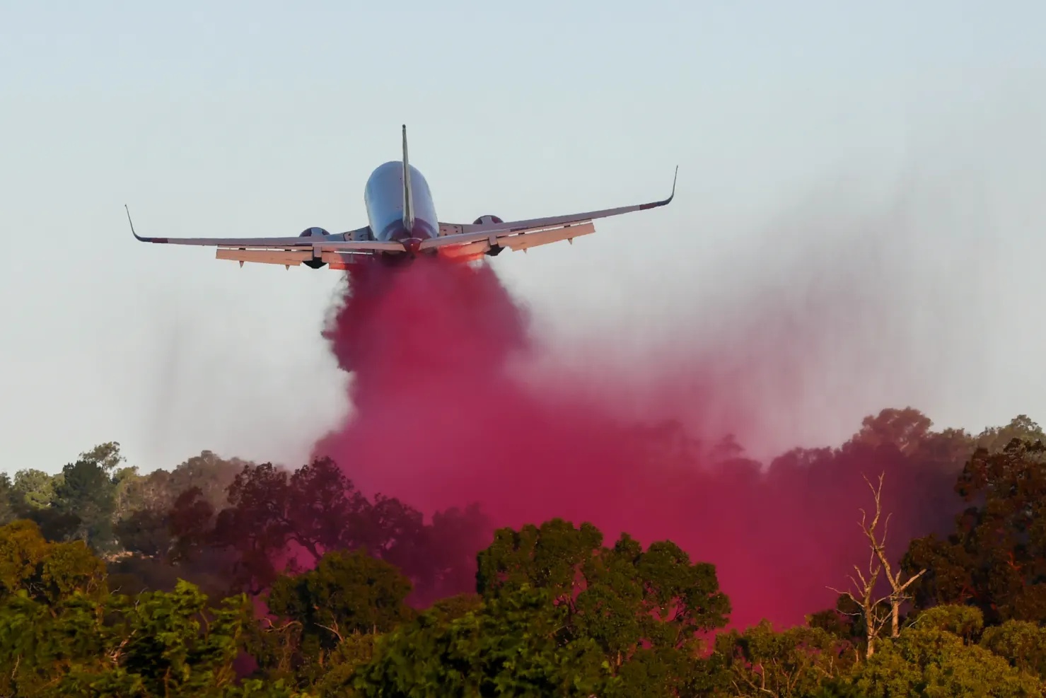 Pilotos sobrevivem após Boeing 737 cair durante combate a incêndio na ...