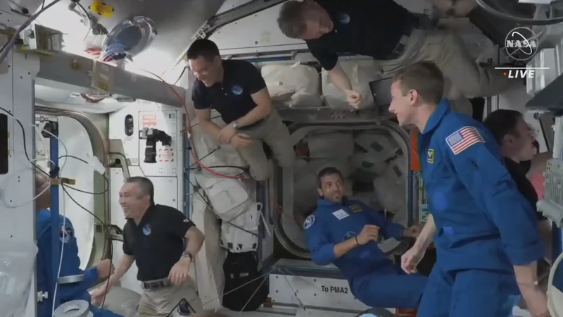 Missão Crew-6 da SpaceX é lançada com sucesso e tripulação chega à ISS ...