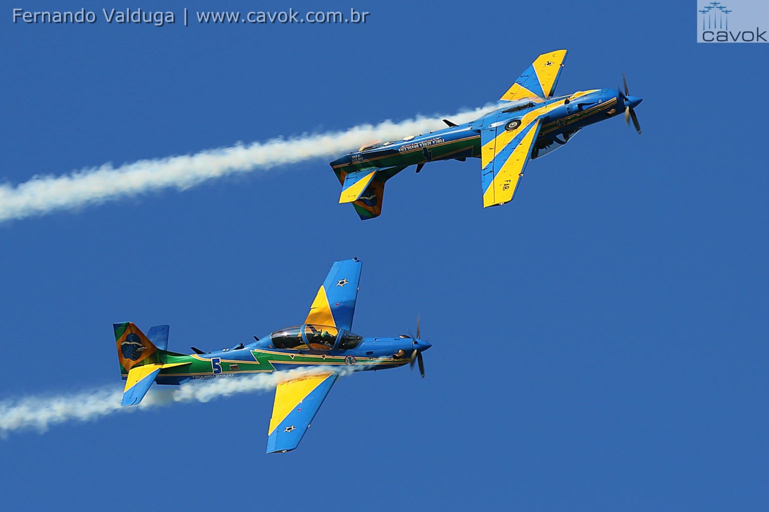 Esquadrilha da Fumaça encanta o público no RS durante uma de suas ...