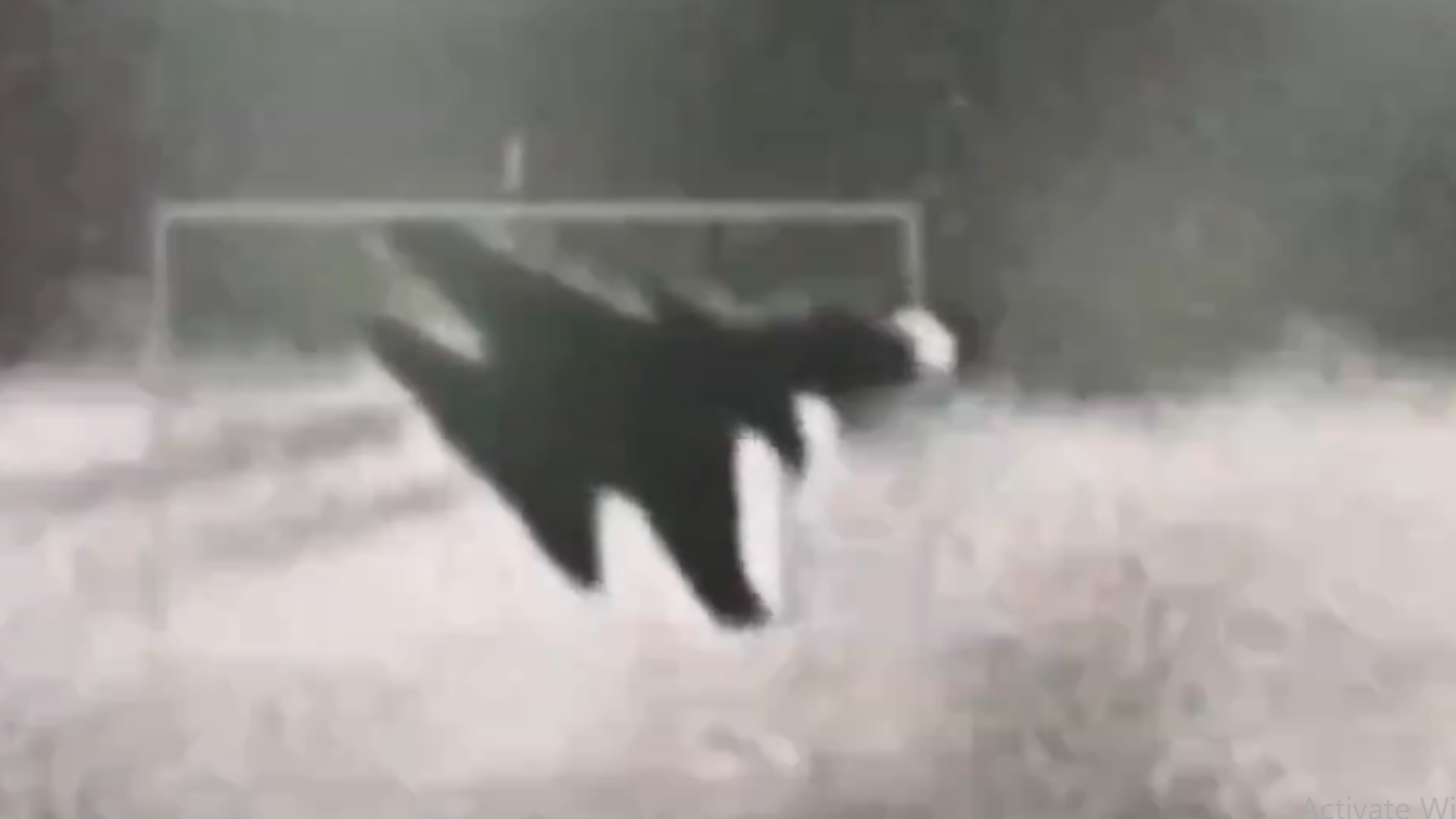 VÍDEO: Caça F-16 de Taiwan acompanha jato de combate chinês J-15 com ...